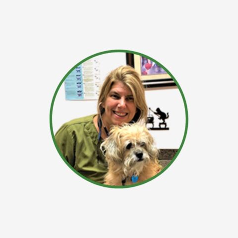 Veterinarian In Bothell, WA 98021 | Canyon Park Veterinary Hospital